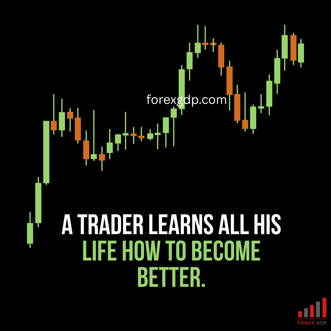 A Trader Learns All His Life The Harsh Truth About Becoming Better