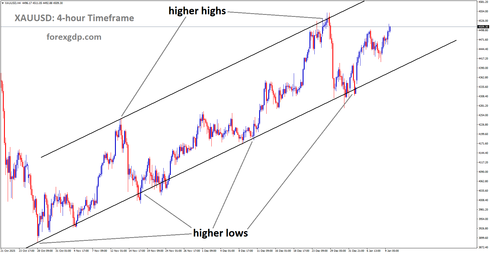 Jan 12 - Jan 16 Gold and forex trade weekly setups